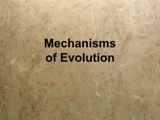 Mechanisms of Evolution.ppt