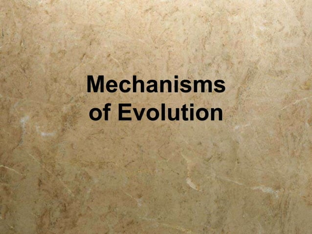 Mechanisms of Evolution.ppt