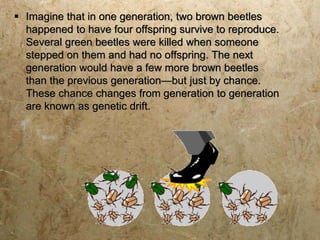 Mechanisms of Evolution.ppt