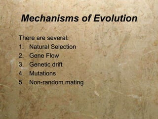 Mechanisms of Evolution.ppt