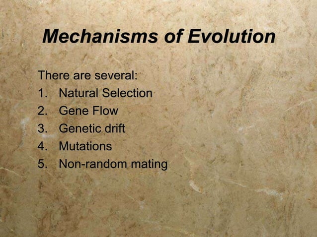 Mechanisms of Evolution.ppt