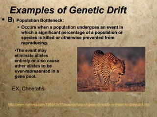 Mechanisms of Evolution.ppt