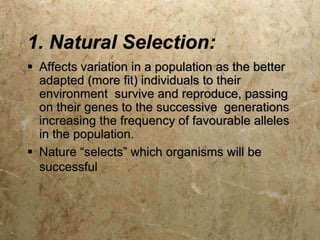 Mechanisms of Evolution.ppt