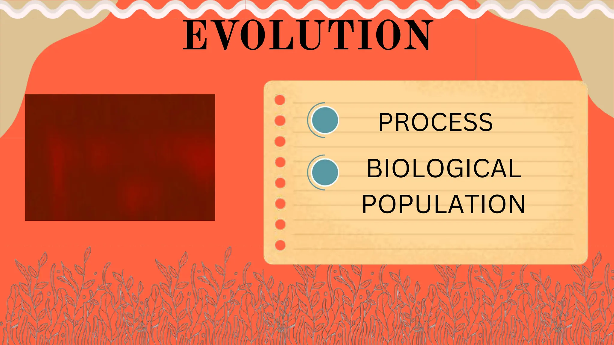 the mechanisms of evolution in GB2 Q3.pptx