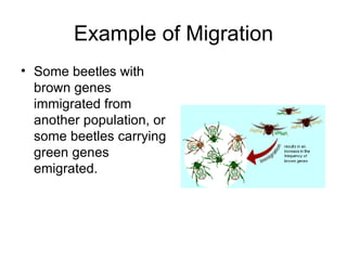Mechanisms of evolution_basic | PPT