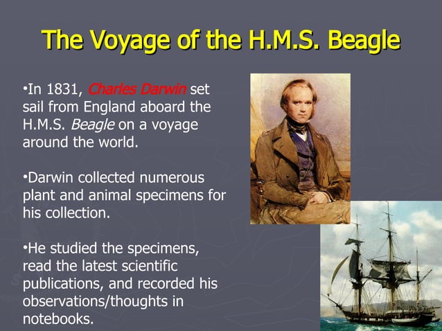 MechanismsofEvolutionCharlesDarwinsTheory-1.ppt