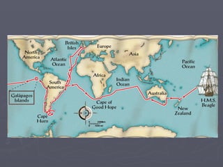 MechanismsofEvolutionCharlesDarwinsTheory-1.ppt