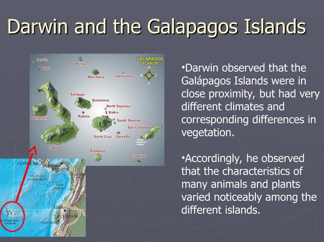 MechanismsofEvolutionCharlesDarwinsTheory-1.ppt