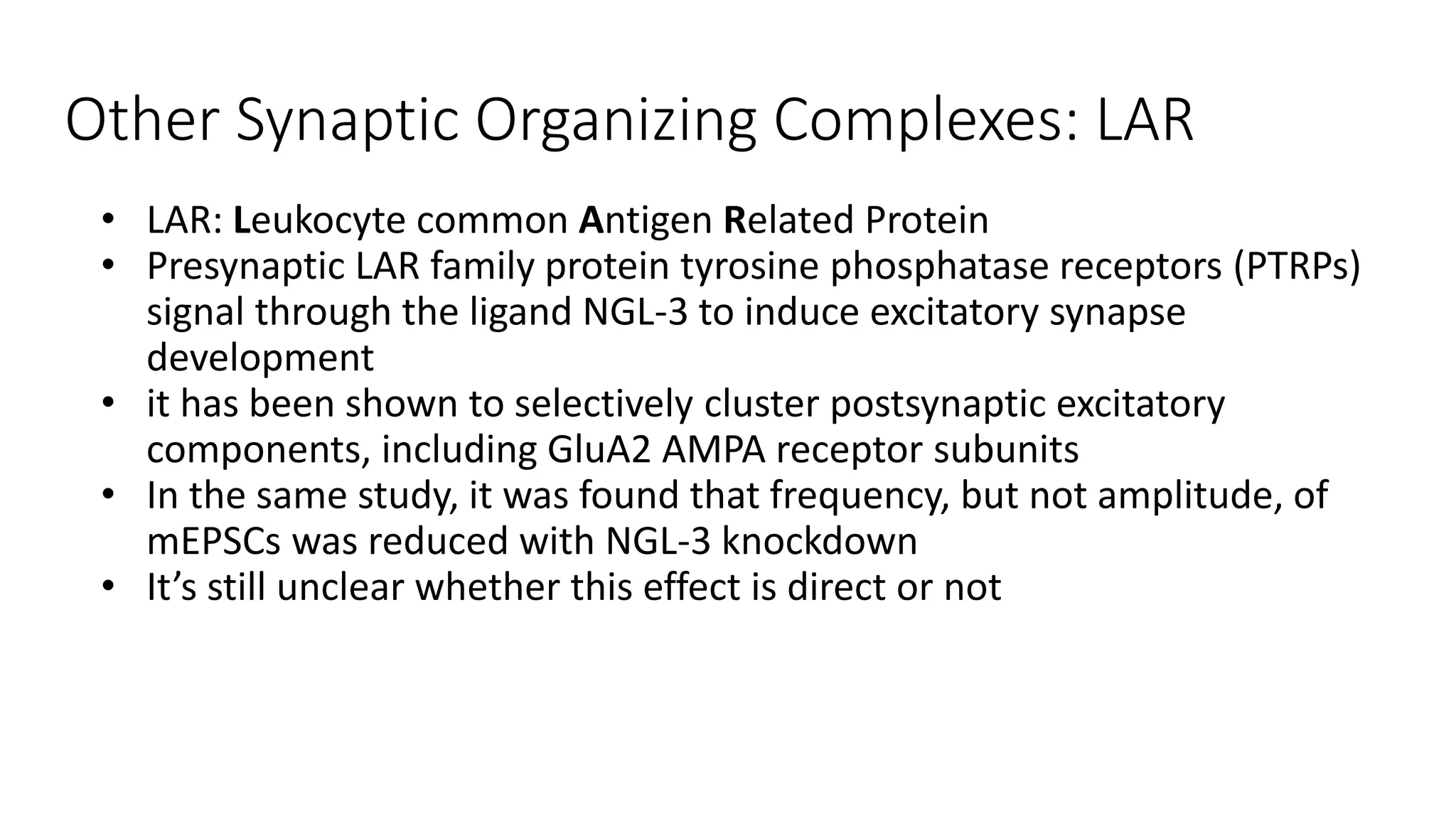 Mechanisms of excitatory synapse maturation by trans synaptic organizing complexes | PPTX ...