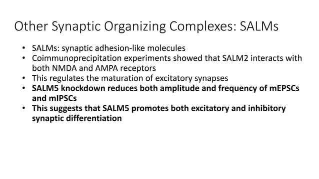 Mechanisms of excitatory synapse maturation by trans synaptic organizing complexes | PPTX ...