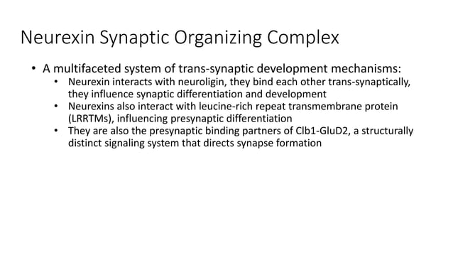 Mechanisms of excitatory synapse maturation by trans synaptic organizing complexes | PPTX ...