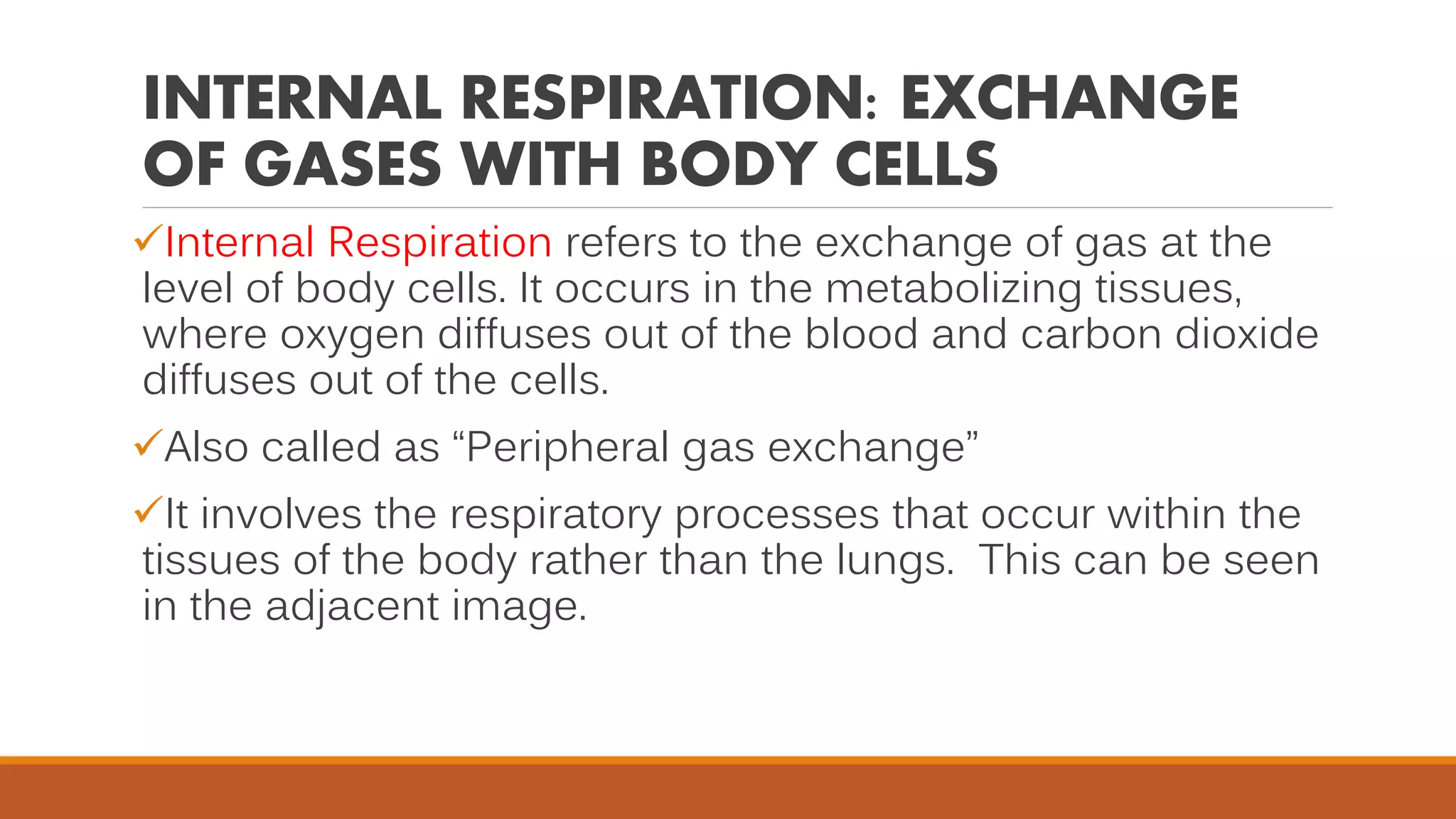 Mechanisms of gas exchange | PPTX
