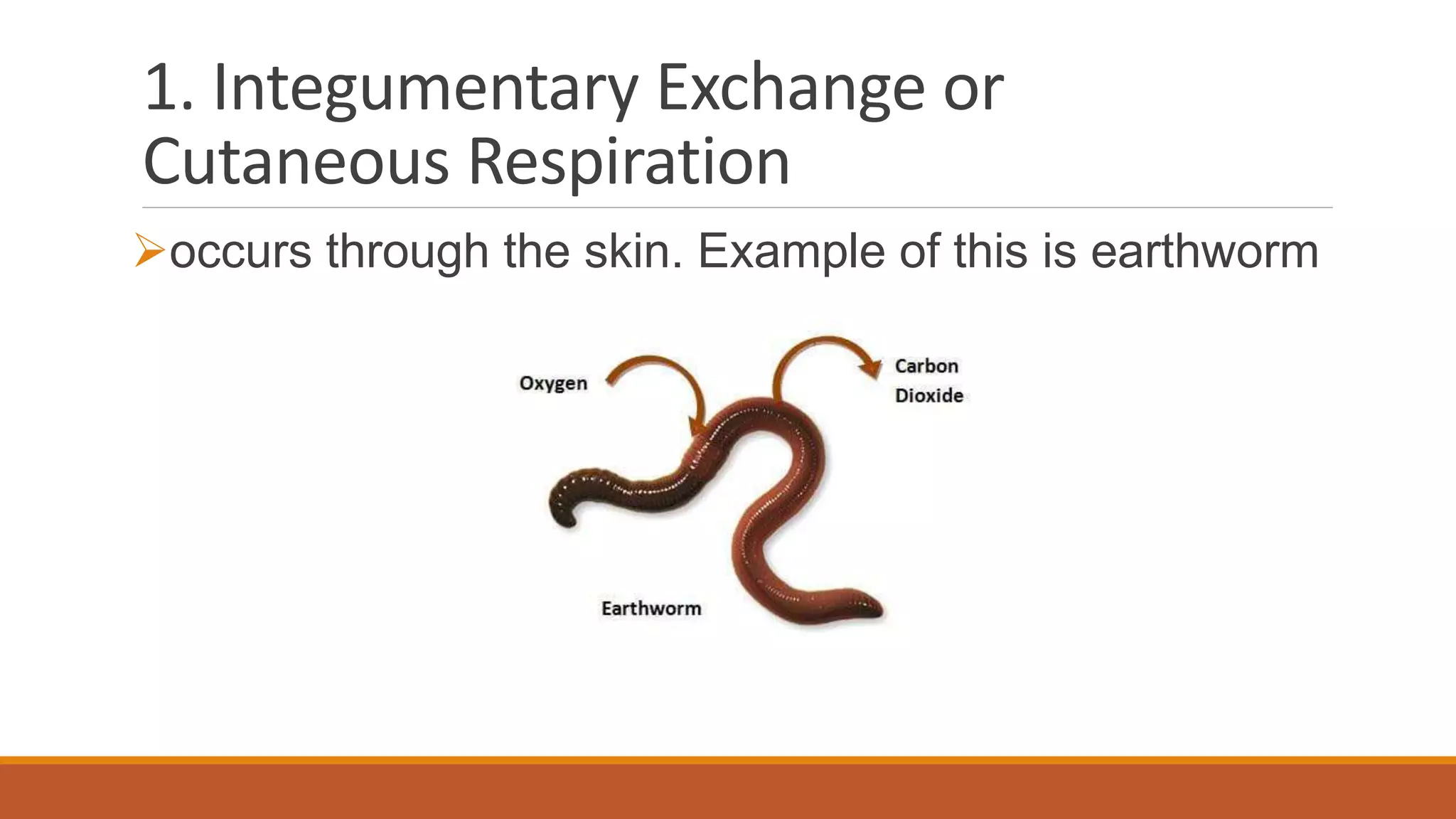 Mechanisms of gas exchange | PPTX