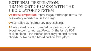 Mechanisms of gas exchange | PPTX