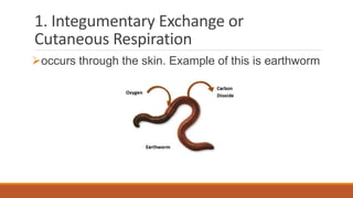Mechanisms of gas exchange | PPTX