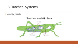 Mechanisms of gas exchange | PPTX