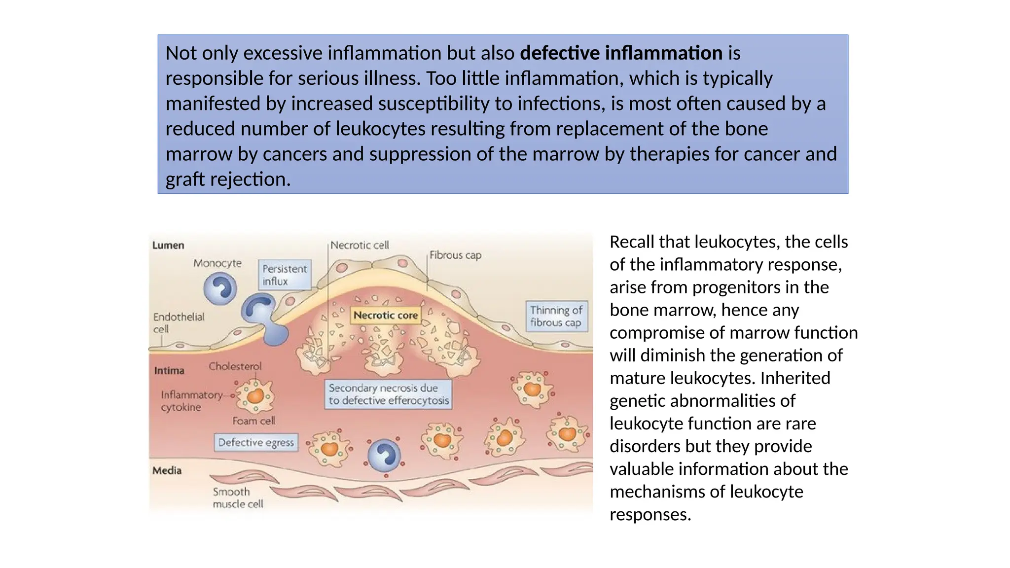 Mechanisms of Inflammation.kmu lecture... | PPTX