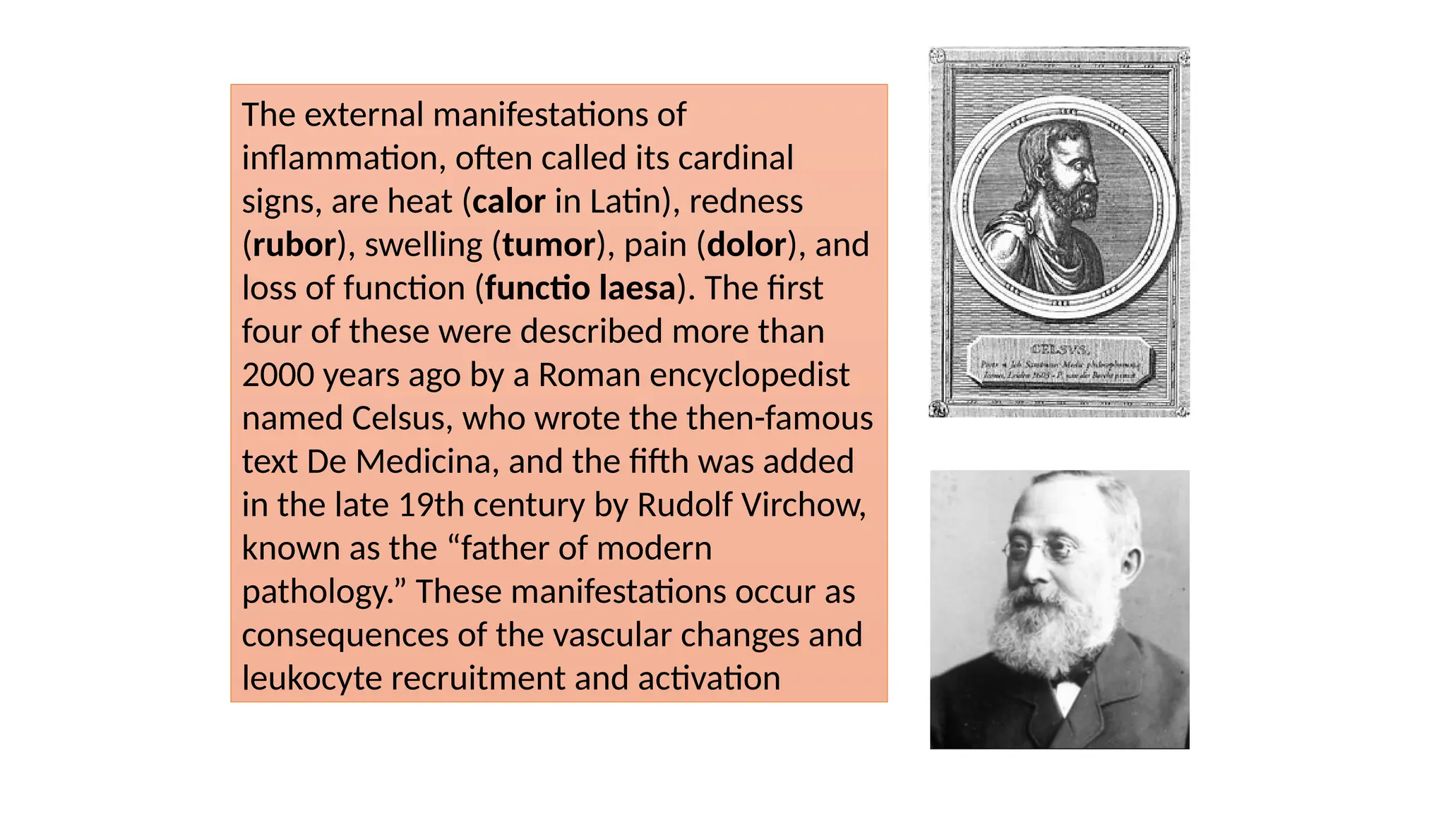 Mechanisms of Inflammation.kmu lecture... | PPTX