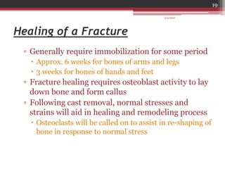 Mechanisms Of Injuries2010show1(2) | PPT