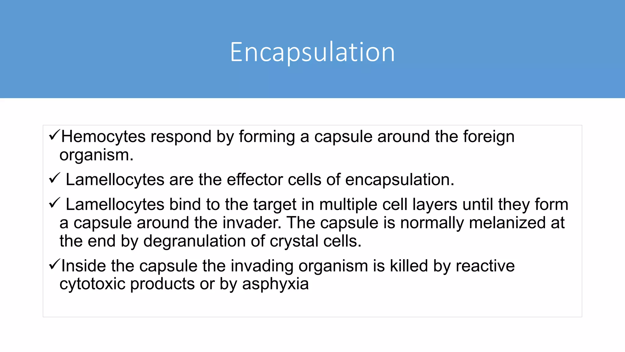Mechanisms of innate immunity in invertebrates (hemocytes) | PPTX