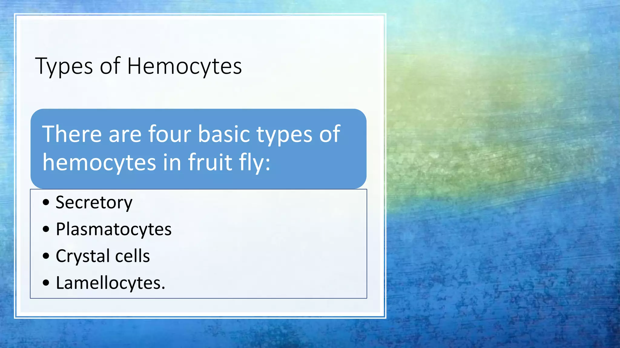 Mechanisms of innate immunity in invertebrates (hemocytes) | PPTX