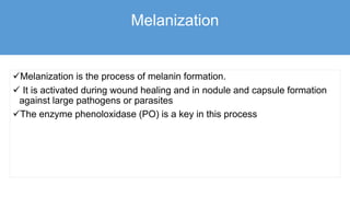 Mechanisms of innate immunity in invertebrates (hemocytes) | PPTX