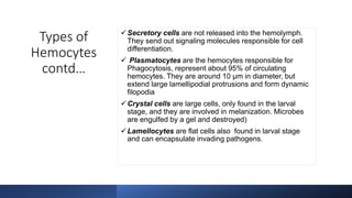 Mechanisms of innate immunity in invertebrates (hemocytes) | PPTX