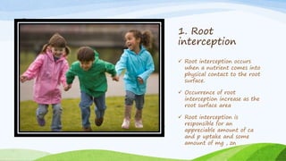 Mechanisms of nutrient transport to plants.pptx