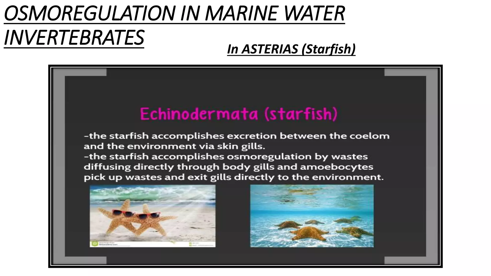 Mechanisms of osmoregulation in fresh water and marine water ...