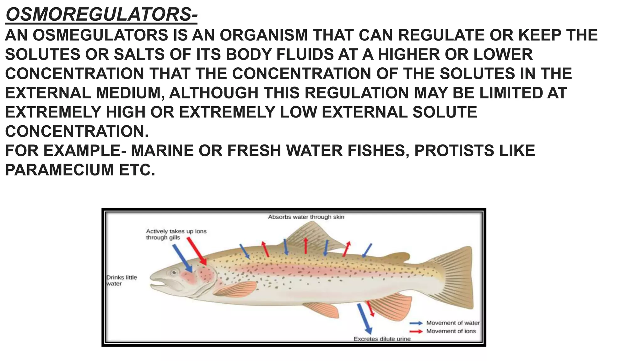 Mechanisms of osmoregulation in fresh water and marine water ...