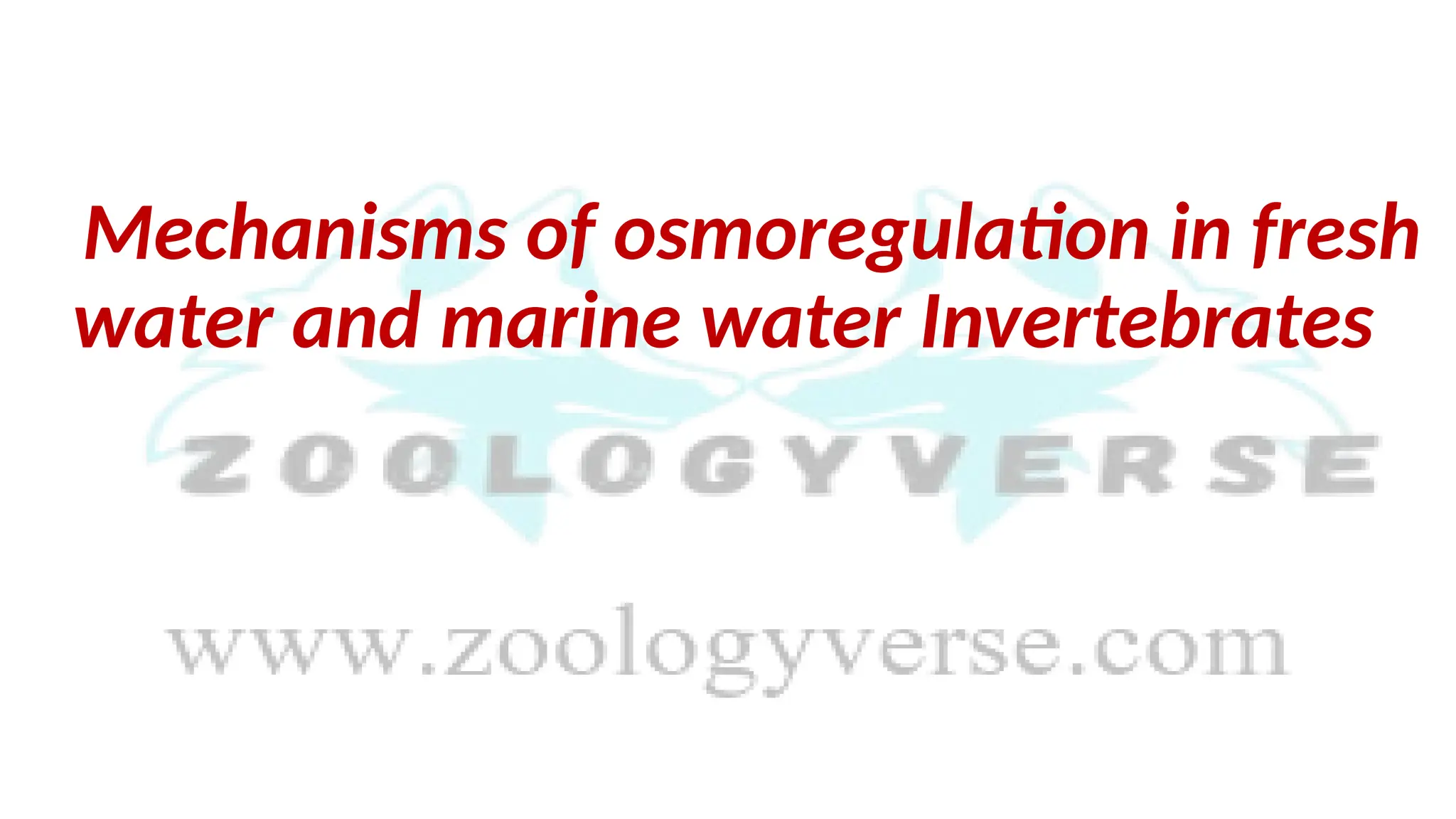 Mechanisms of Osmoregulation in Freshwater and Marine Invertebrates ...