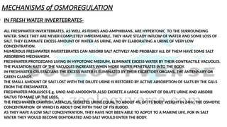 Mechanisms of Osmoregulation in Freshwater and Marine Invertebrates ...
