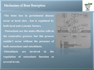 Mechanisms of periodontal disease production | PPT