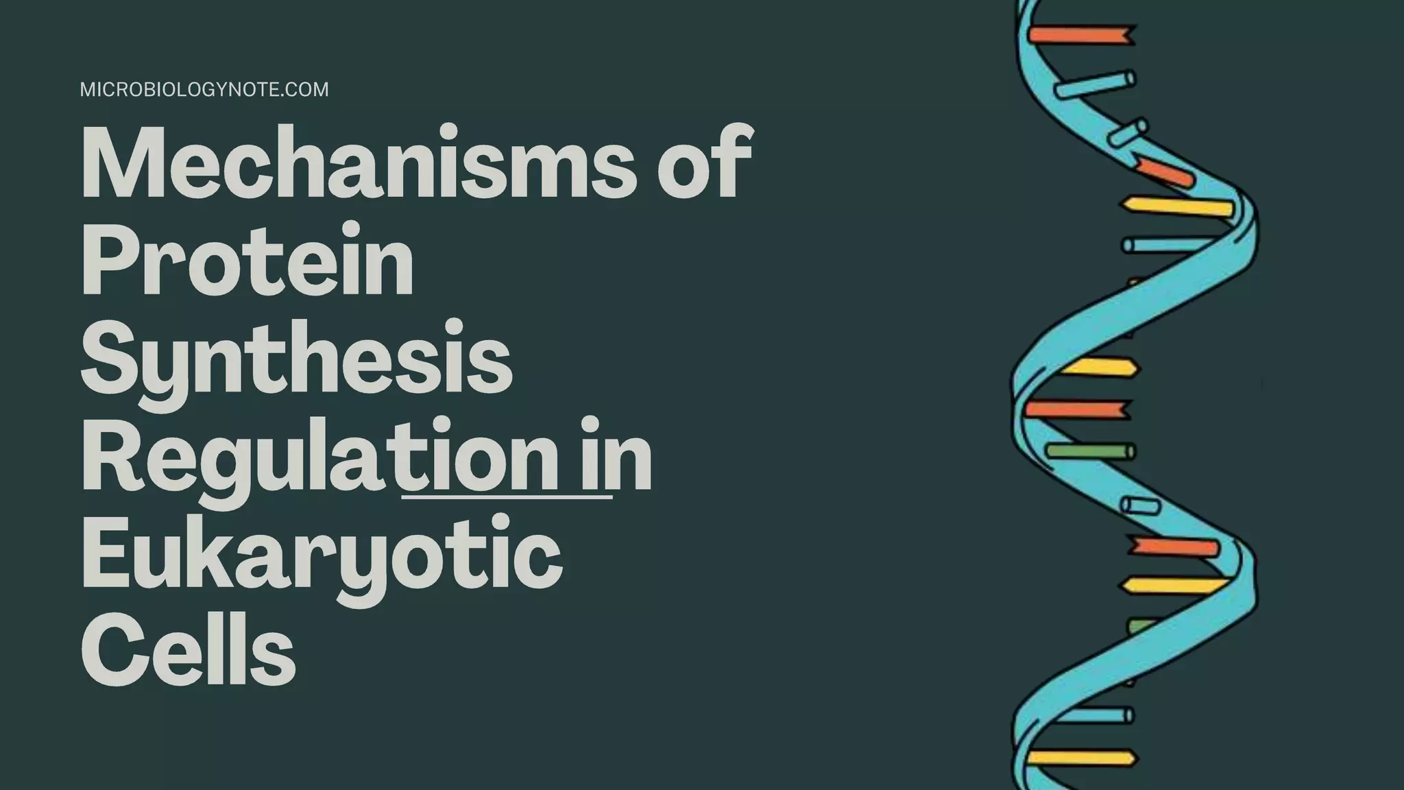 Mechanisms of Protein Synthesis Regulation in Eukaryotic Cells.pptx