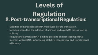 Mechanisms of Protein Synthesis Regulation in Eukaryotic Cells.pptx