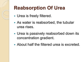 Mechanisms of regulation of fluid volume through kidney | PPTX