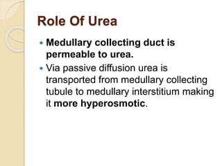 Mechanisms of regulation of fluid volume through kidney | PPTX