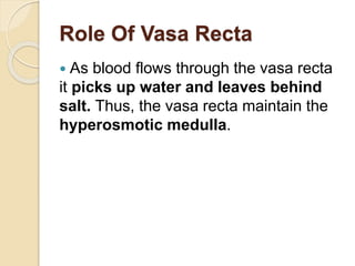 Mechanisms of regulation of fluid volume through kidney | PPTX ...