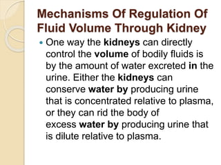 Mechanisms of regulation of fluid volume through kidney | PPTX