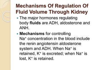 Mechanisms of regulation of fluid volume through kidney | PPTX