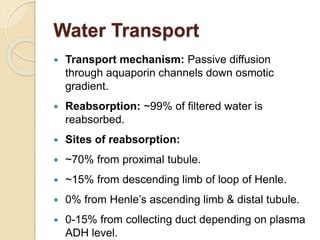 Mechanisms of regulation of fluid volume through kidney | PPTX