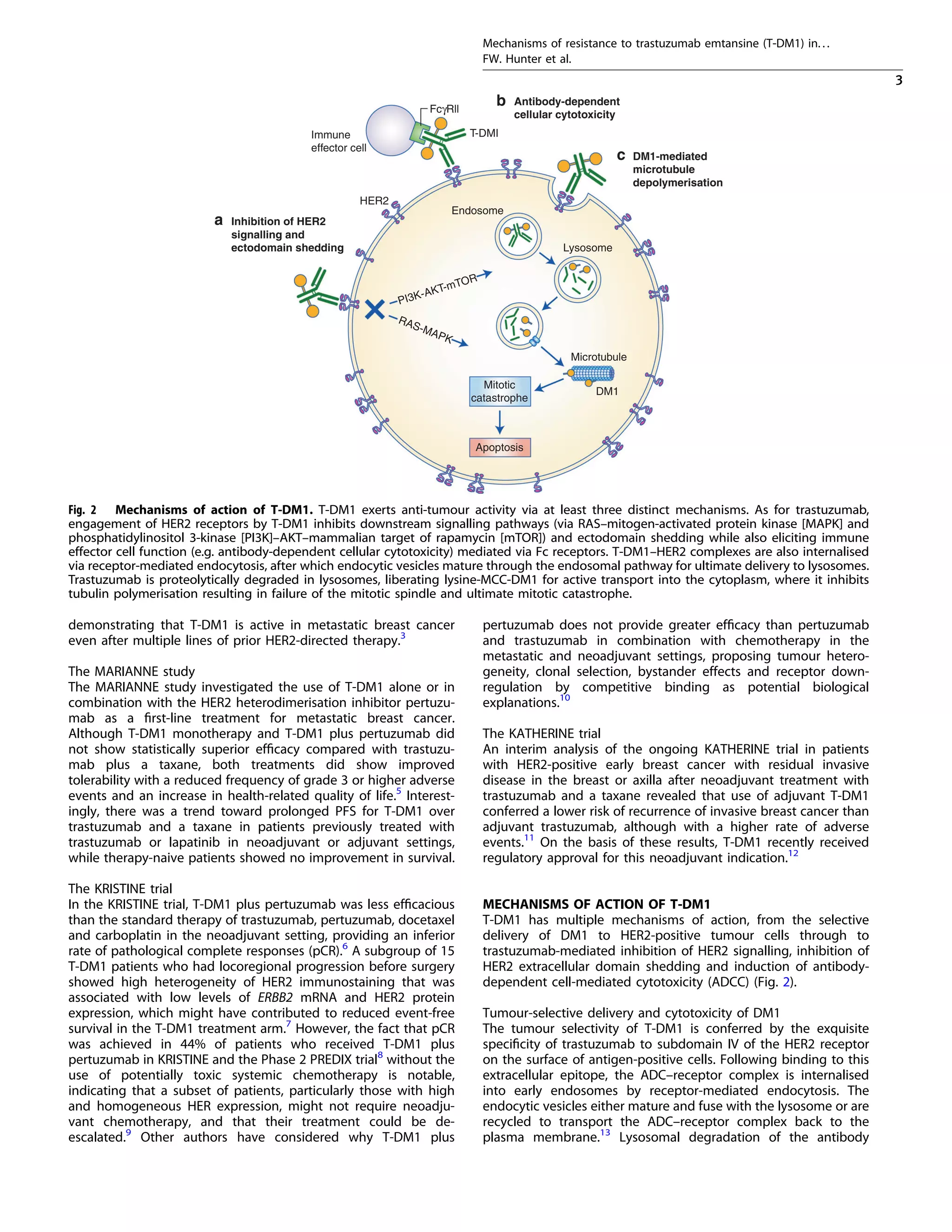 Mechanisms of resistance to trastuzumab emtansine (t dm1) in her2 ...