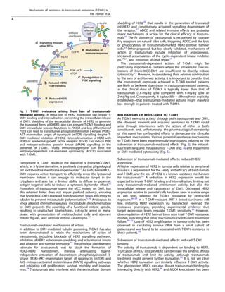 Mechanisms of resistance to trastuzumab emtansine (t dm1) in her2 ...