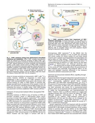 Mechanisms of resistance to trastuzumab emtansine (t dm1) in her2 ...