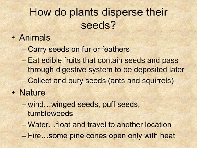 Mechanisms of seed dispersal | PPT