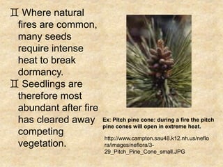 Mechanisms of seed dispersal | PPT