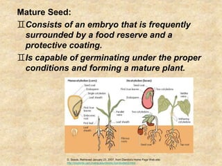 Mechanisms of seed dispersal | PPT