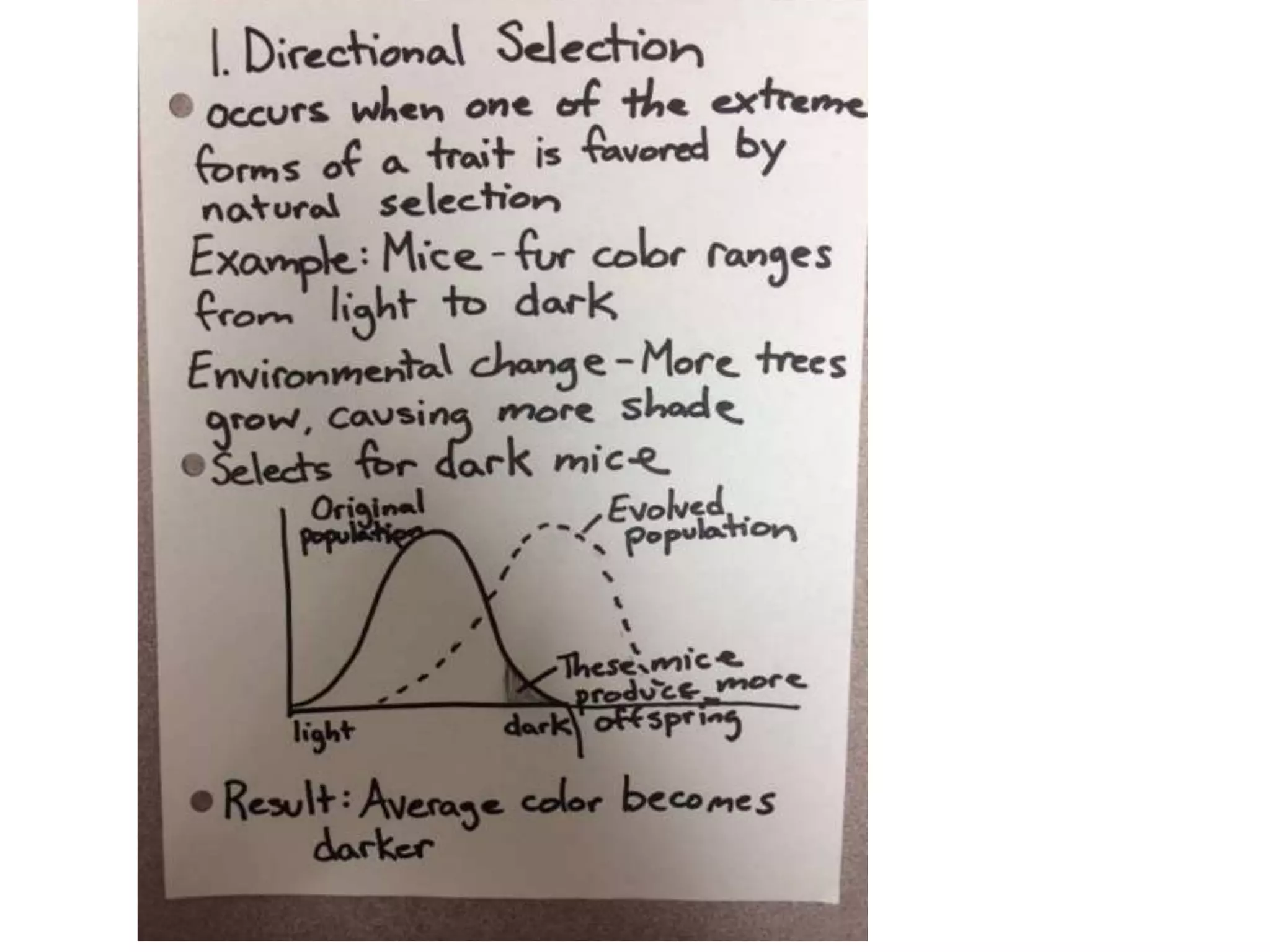 Mechanisms of selection | PPTX