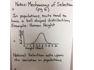 Mechanisms of selection | PPT