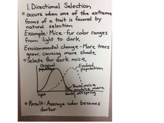 Mechanisms of selection | PPT